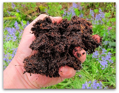 Creating an Open Source Vermiculture Toilet