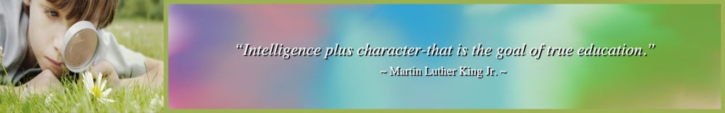 Howard Gardner 8 Multiple Intelligences: An Open Source Resource Guide ...
