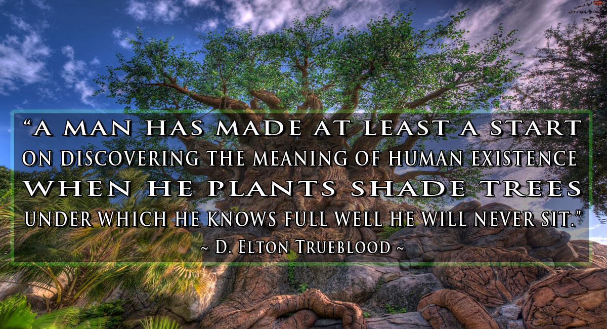 Open Source Botanical Garden Creation: Earth Regenerative | Bio-diverse ...