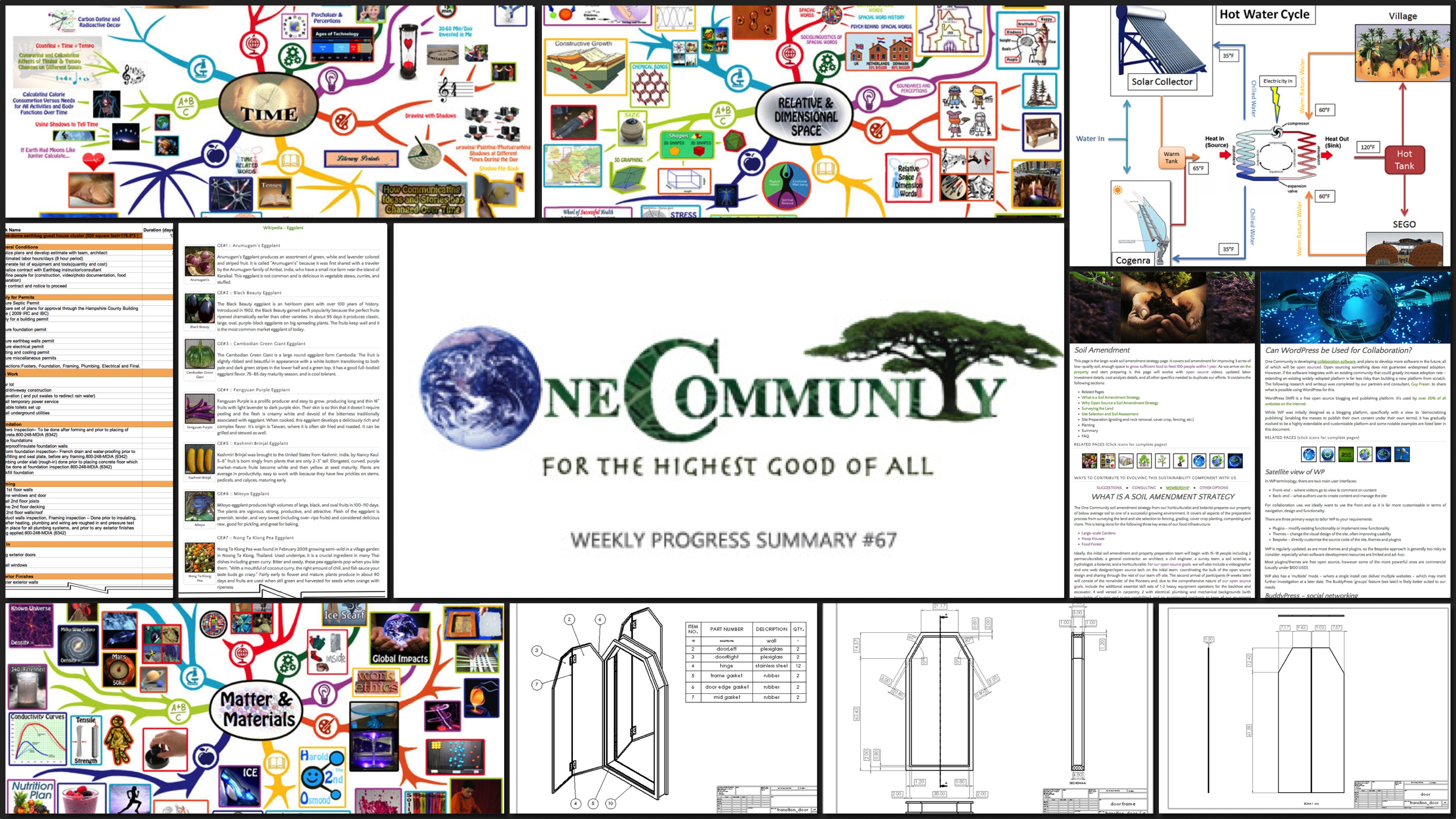 Solutioneering Our Future - One Community Global