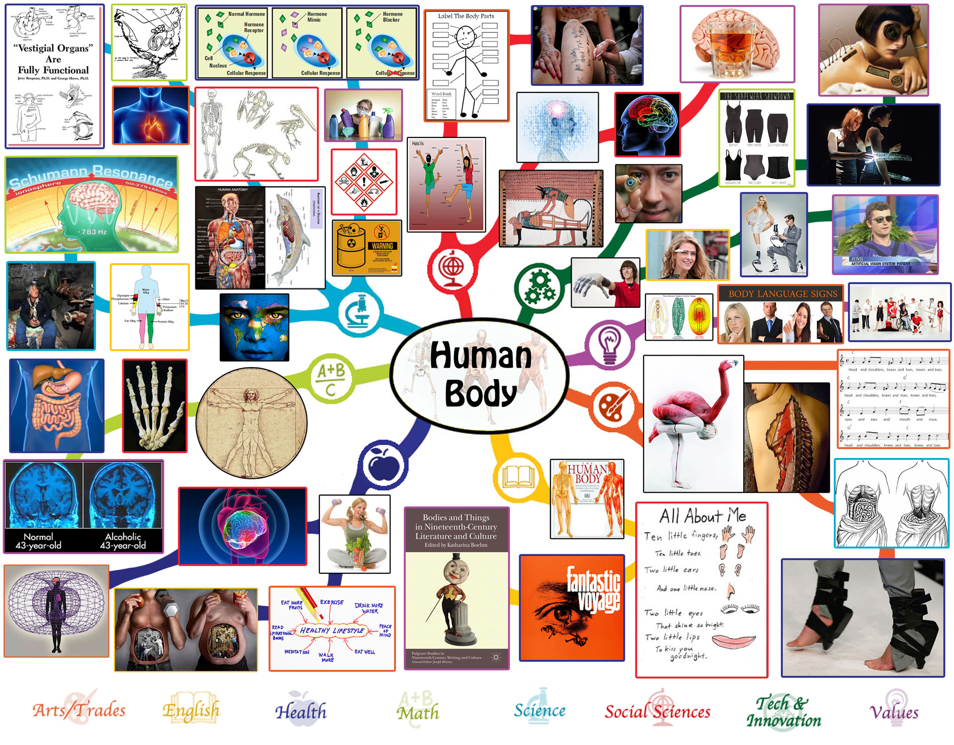 Human Body Lesson Plan All Subjects Any Age Any Learning Human Body Lesson Plan All Subjects Any Age Any Learning