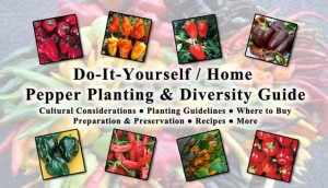 Peppers: Cultural Considerations | Planting Guidelines | Buying ...