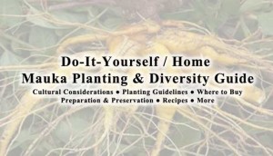 Mauka: Cultural Considerations | Planting Guidelines | Where to Buy | More