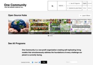Creating a Global Solution - One Community Global