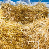 Most Sustainable, Eco-friendly, and Safe Home Insulation Materials