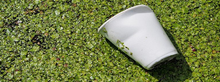 Best Community Polystyrene & Styrofoam Recycling and Reuse Strategies