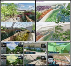 Building a Sustainable Future – One Community Global