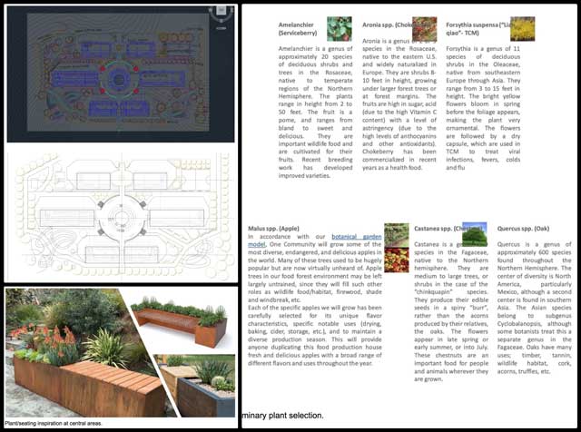 Eco-renovating Our Social Models – One Community