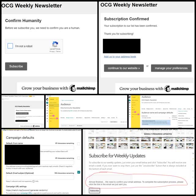 One Community Weekly Progress Updates and Announcements Blog