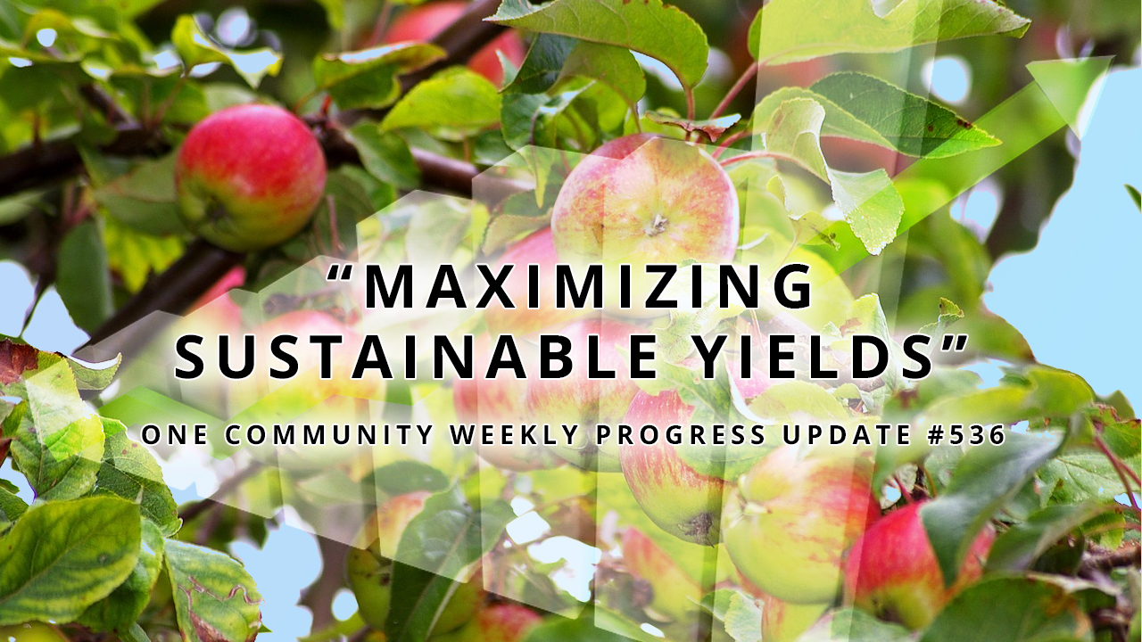 Maximizing Sustainable Yields in 5 amazing ways