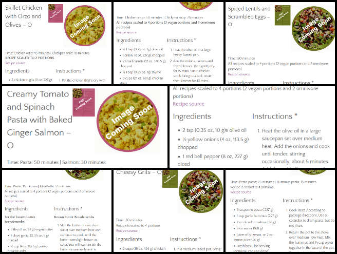 Creating the World That's Possible - 6 Adaptable Foundations