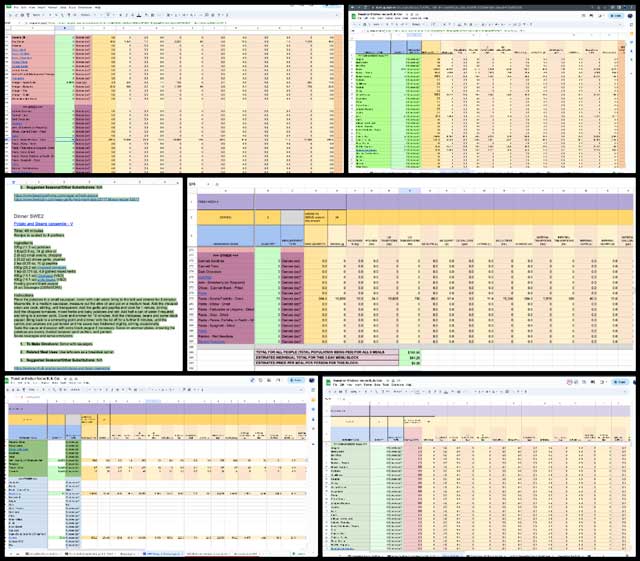 Leading the Global-Sustainability Systems Movement - Focus 5