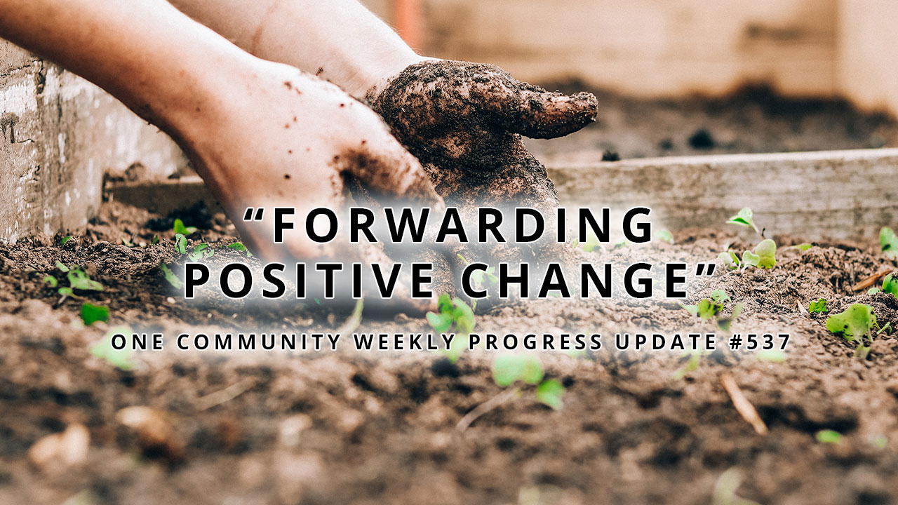 Forwarding Positive Change in 5 Amazing Ways