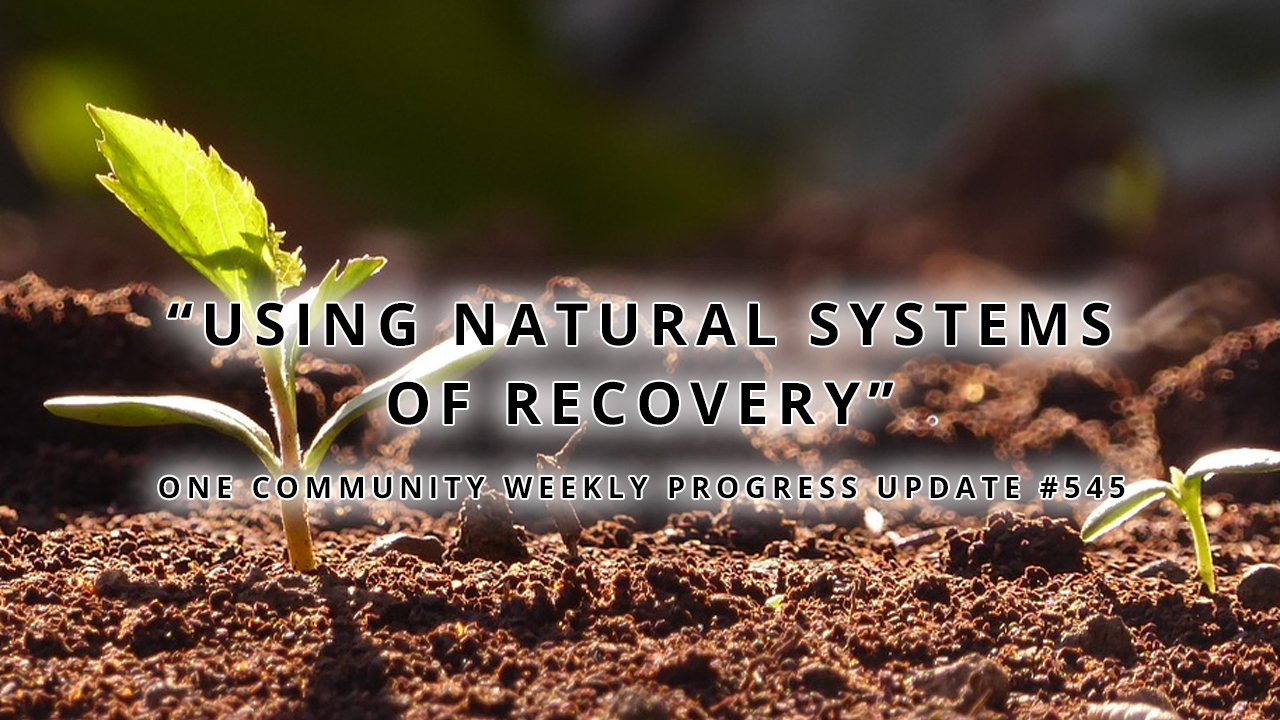 Using Natural Systems of Recovery – 5 Economical Benefits