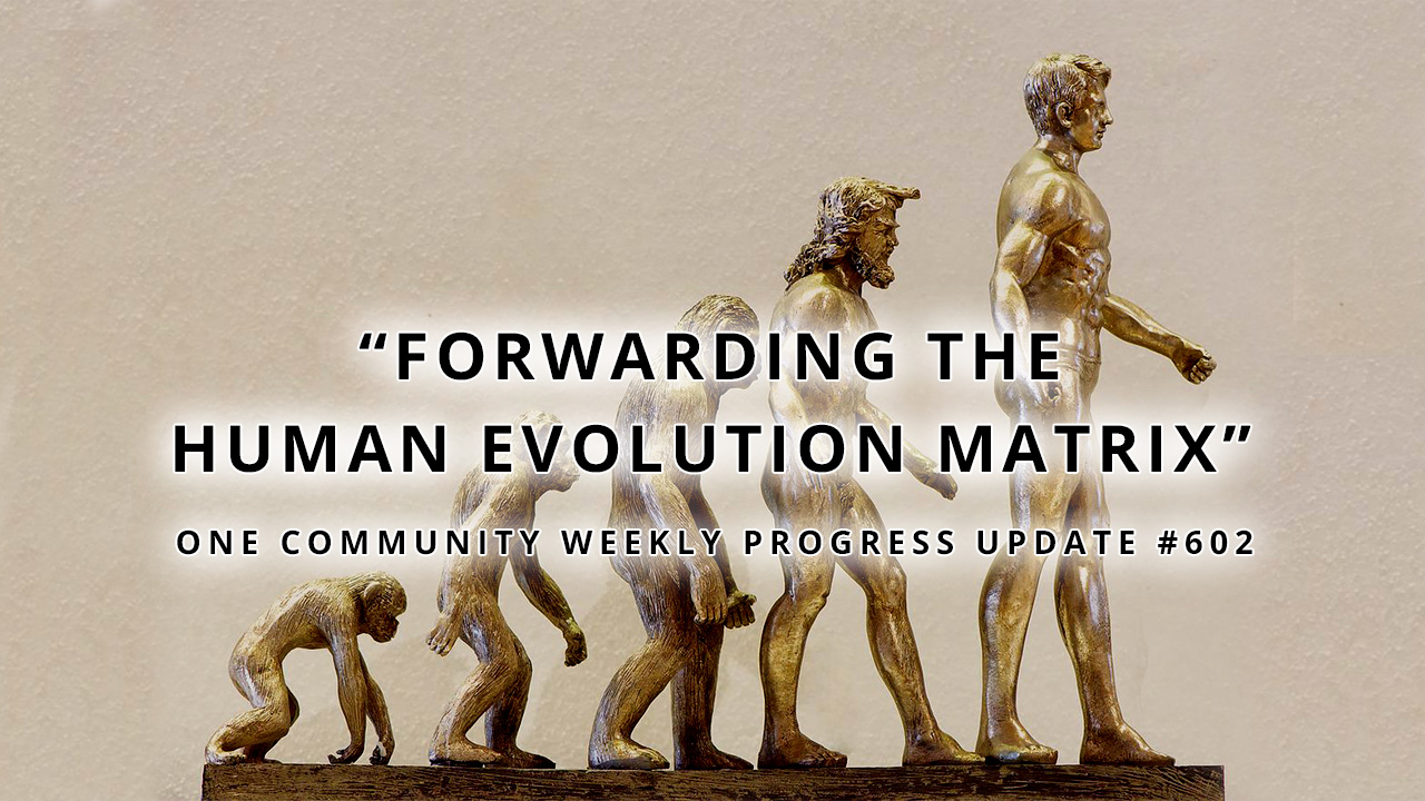Forwarding the Human Evolution Matrix: 5 Effective Steps
