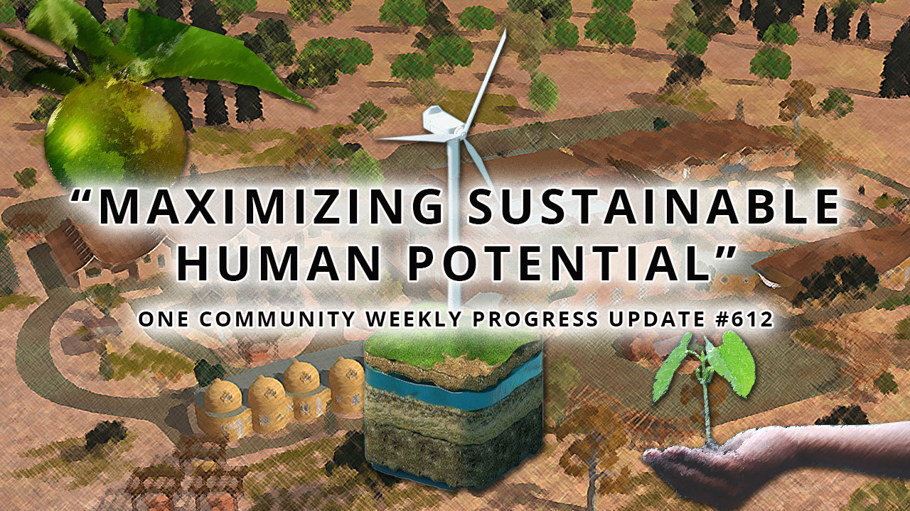 Maximizing Sustainable Human Potential – 8 Step-by-Step