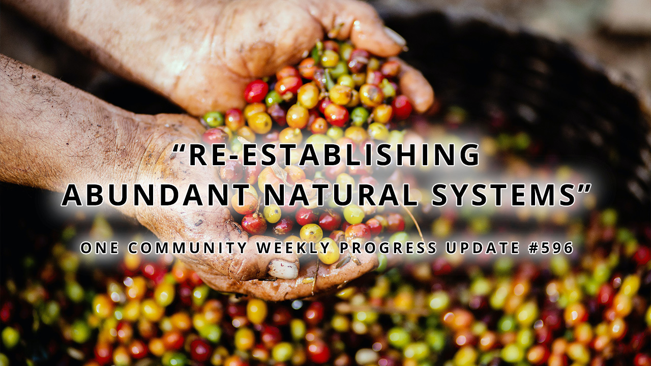 Re-establishing Abundant Natural Systems – 7 Key Strategies